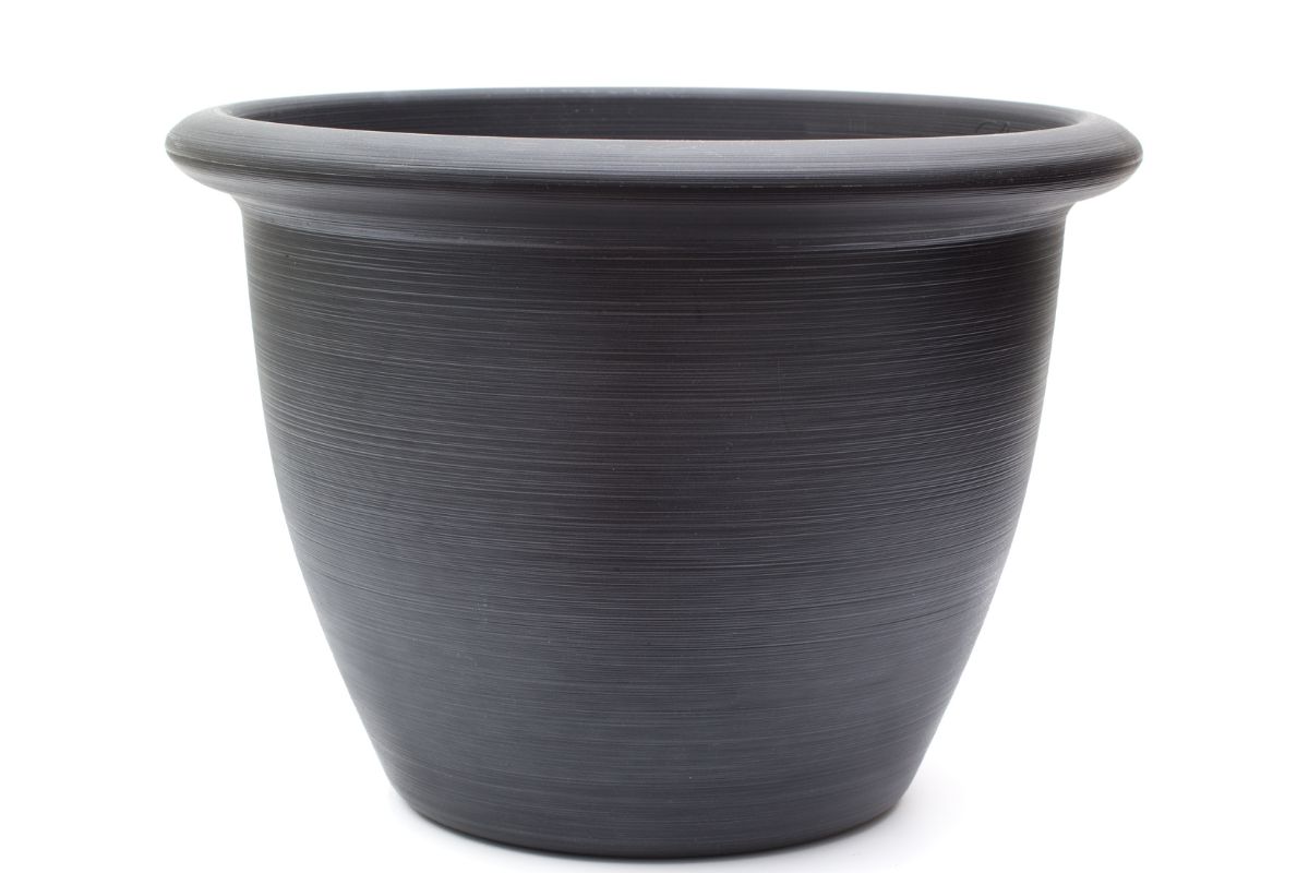 Best Pot For Monstera - Botanic Box